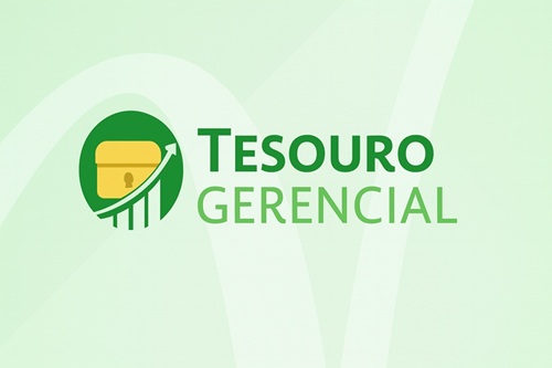 Curso Grátis e Online de Tesouro Gerencial | Intitula Cursos